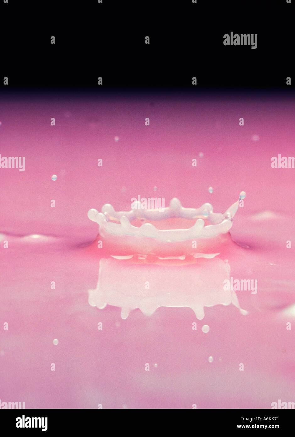 Pink Dyed Milk with droplet coronet high speed photographic technique ...