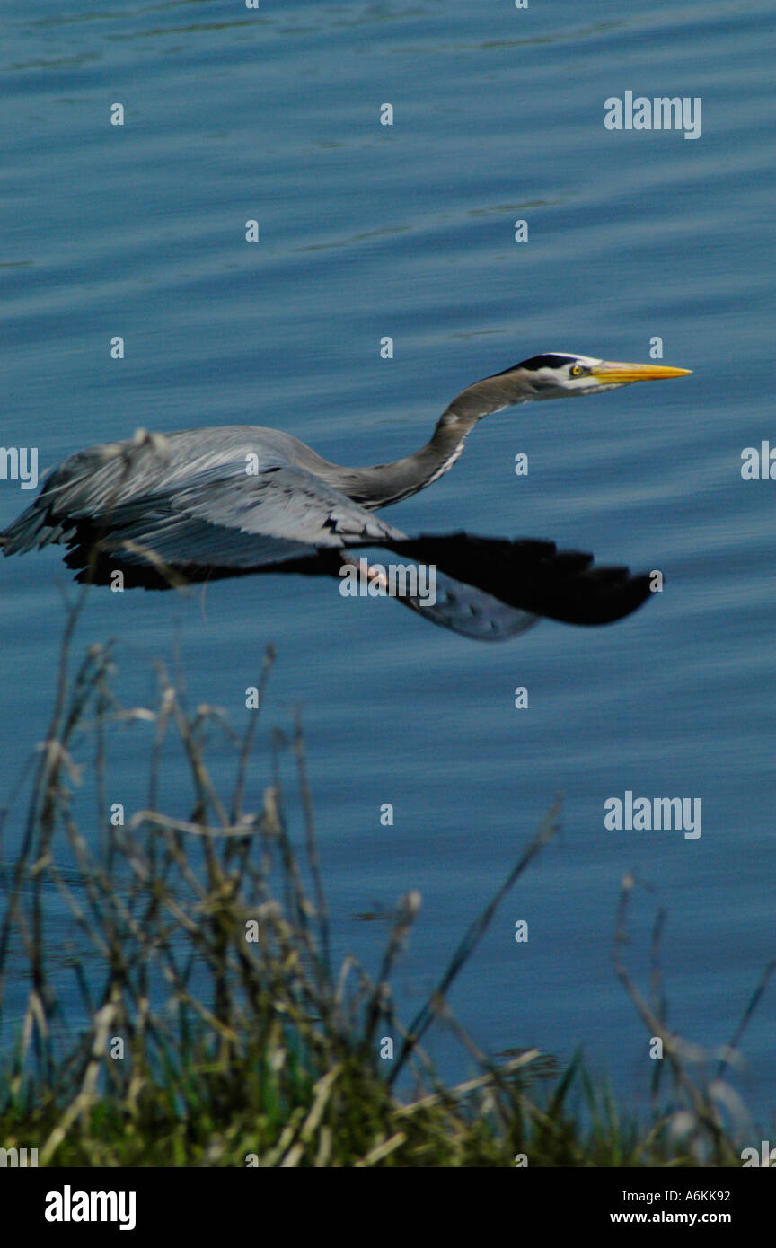 Still and movement hi-res stock photography and images - Alamy