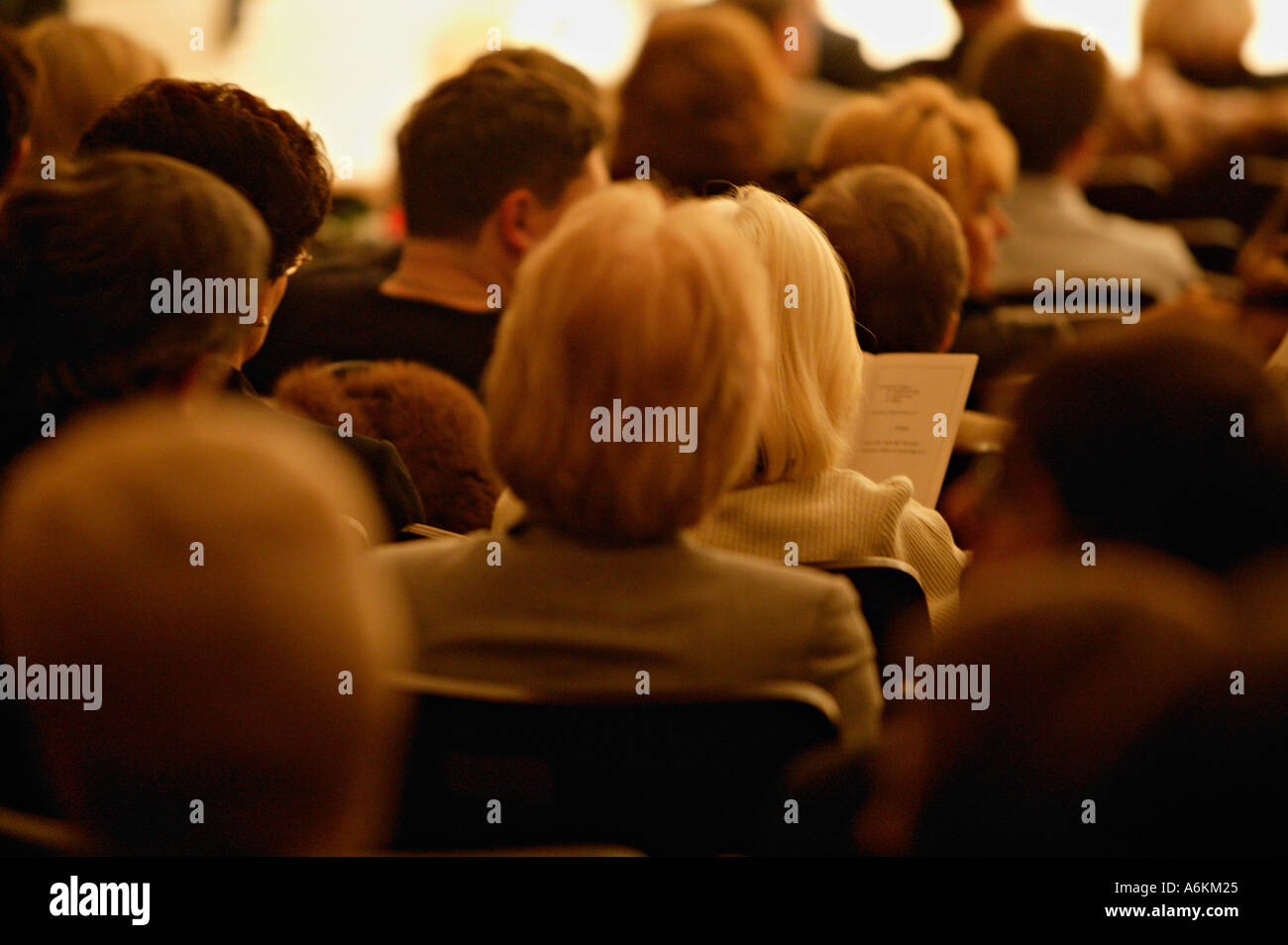 Theater Audience From Behind
