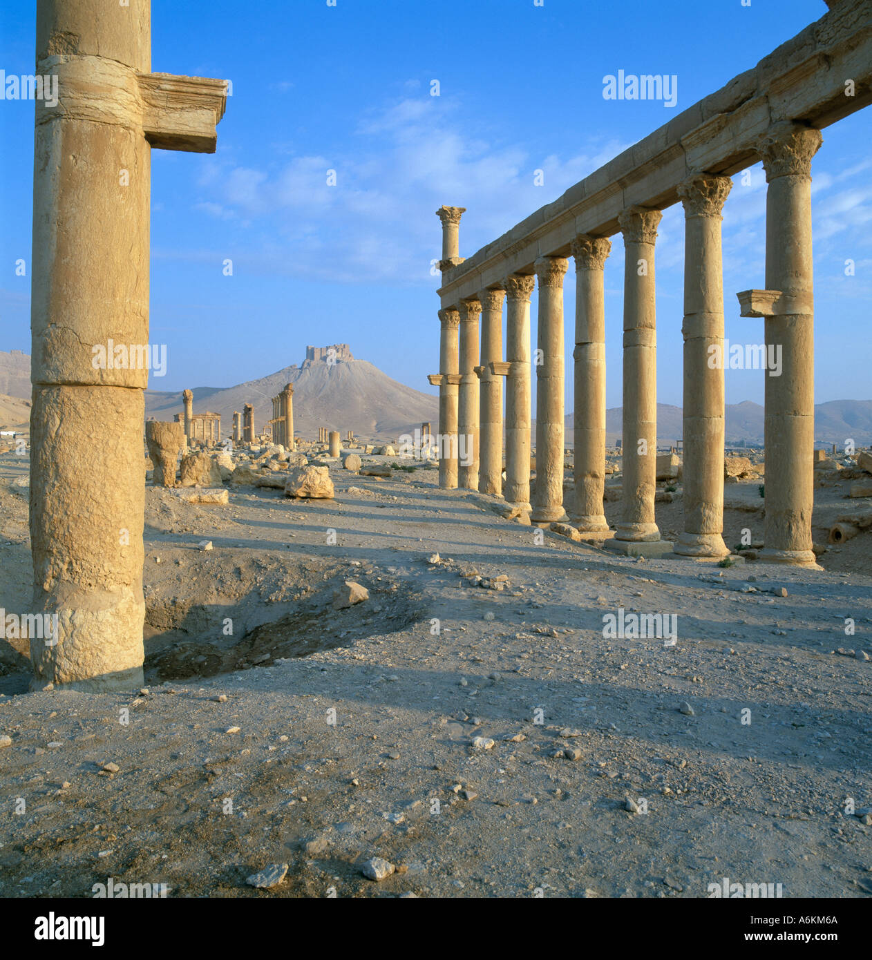 Roman ruins Palmyra Syria Middle East Stock Photo - Alamy
