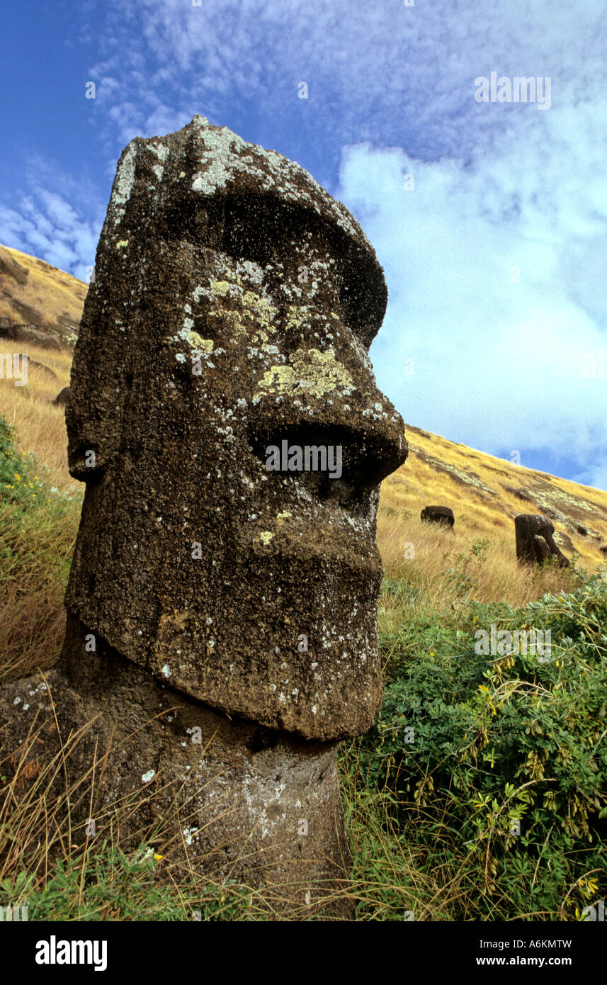 Standing moai within the volcanic quarry of Rano Raraku on the UNESCO ...
