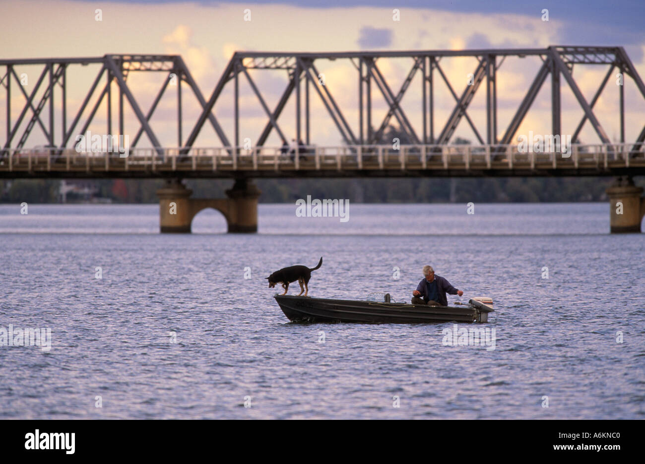 Dog and man fishing Lake Mulwala Yarrawonga Central Murray Riverina ...