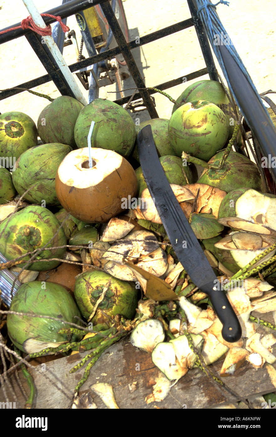 Coconut vendor on the beach in Ecuador near Quayaquil Stock Photo - Alamy