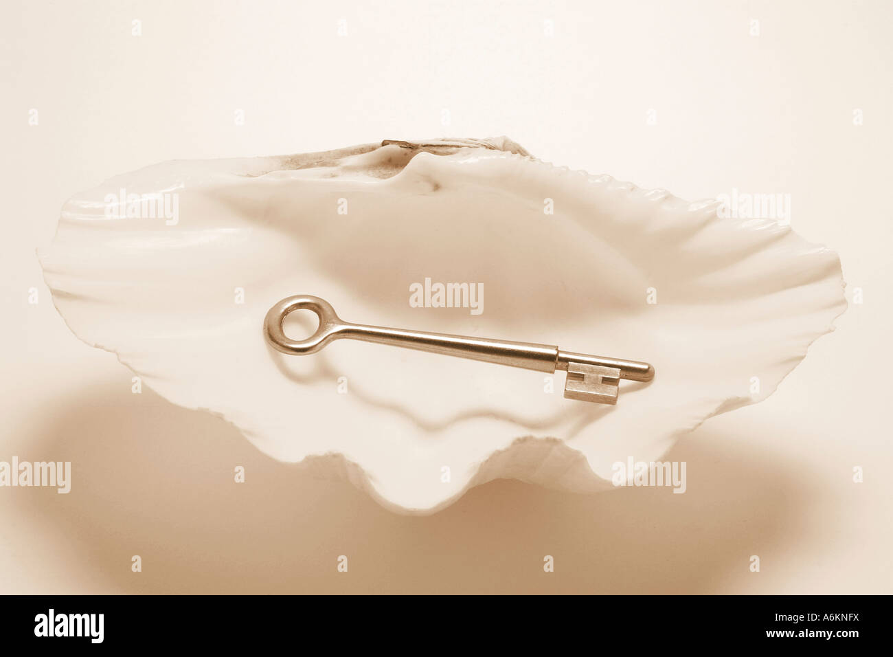 Key on Seashell Stock Photo - Alamy