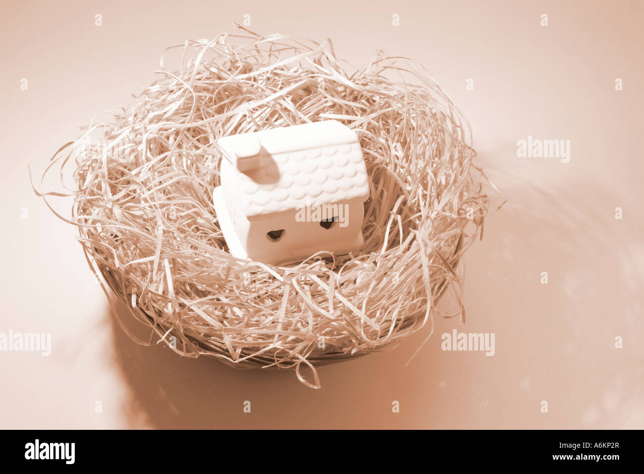 Miniature House on Nest Stock Photo - Alamy