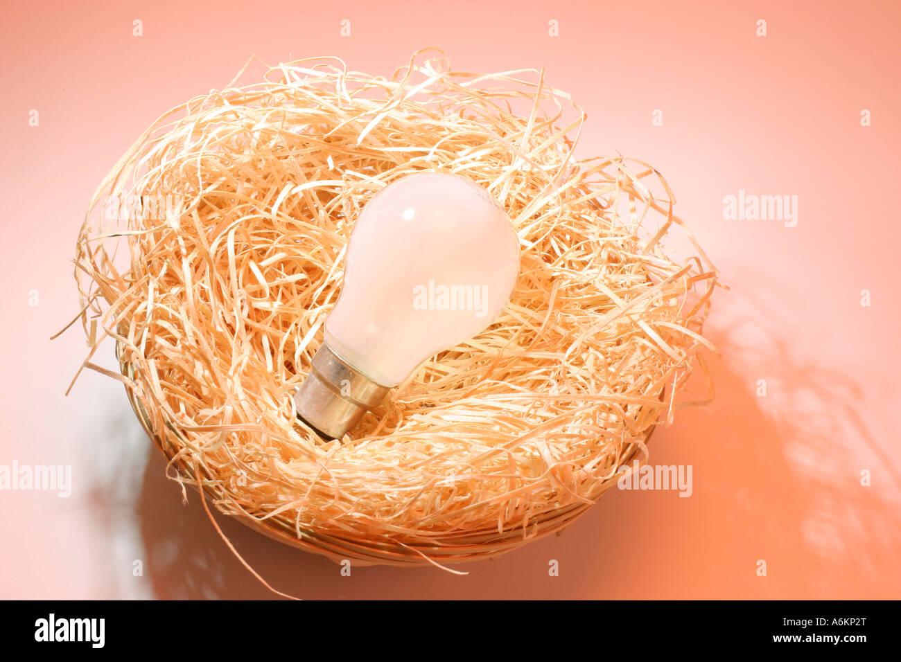 Light Bulb on Nest Stock Photo - Alamy