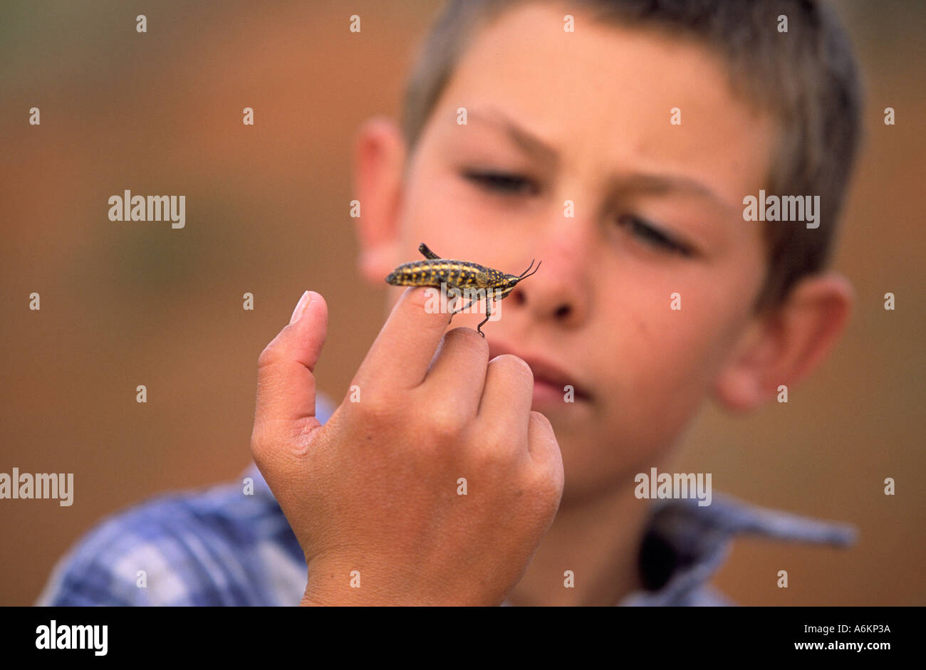 Australian teen boy hi-res stock photography and images - Alamy