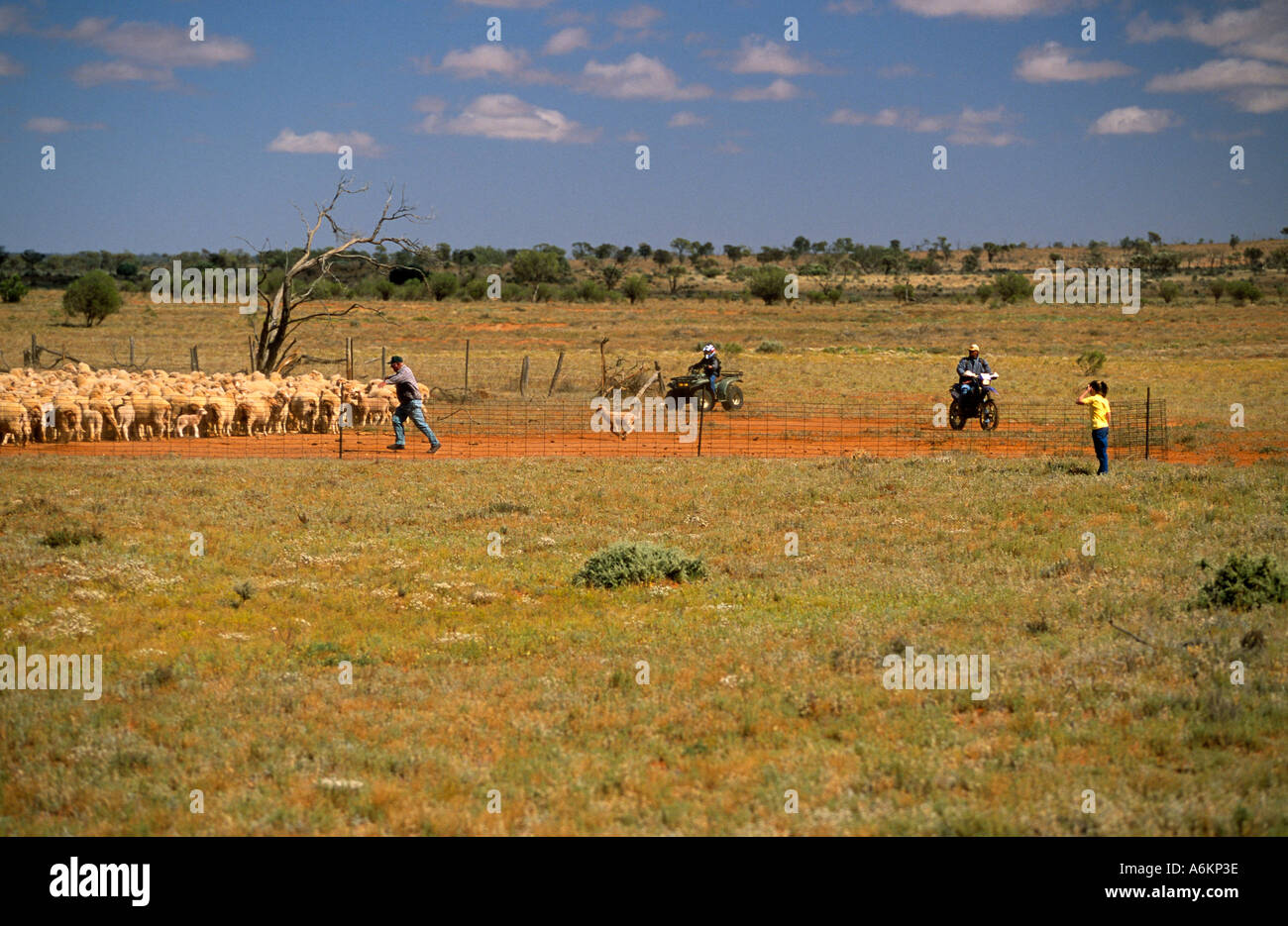Mustering hi-res stock photography and images - Alamy