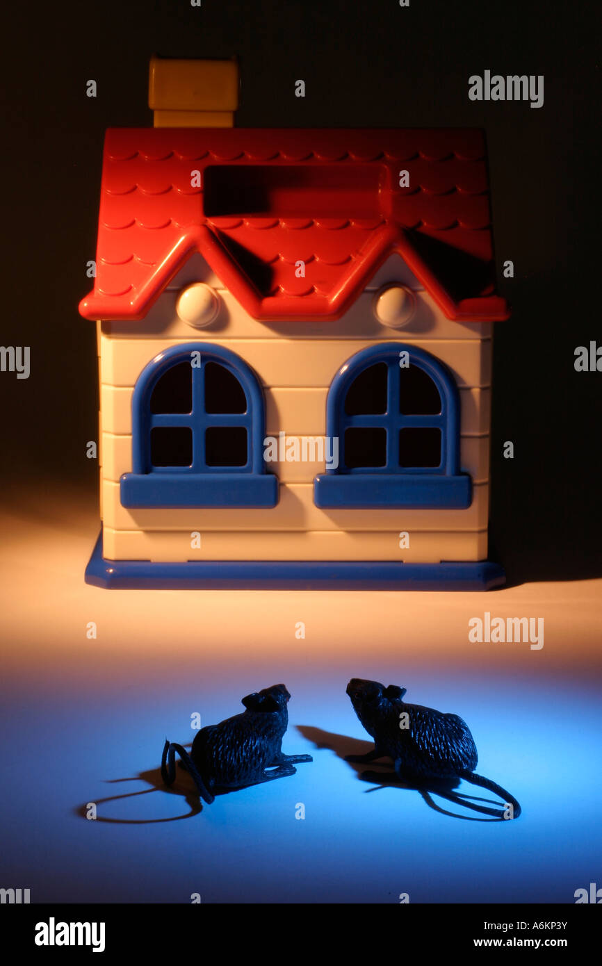 Miniature House with Toy Rats Stock Photo - Alamy
