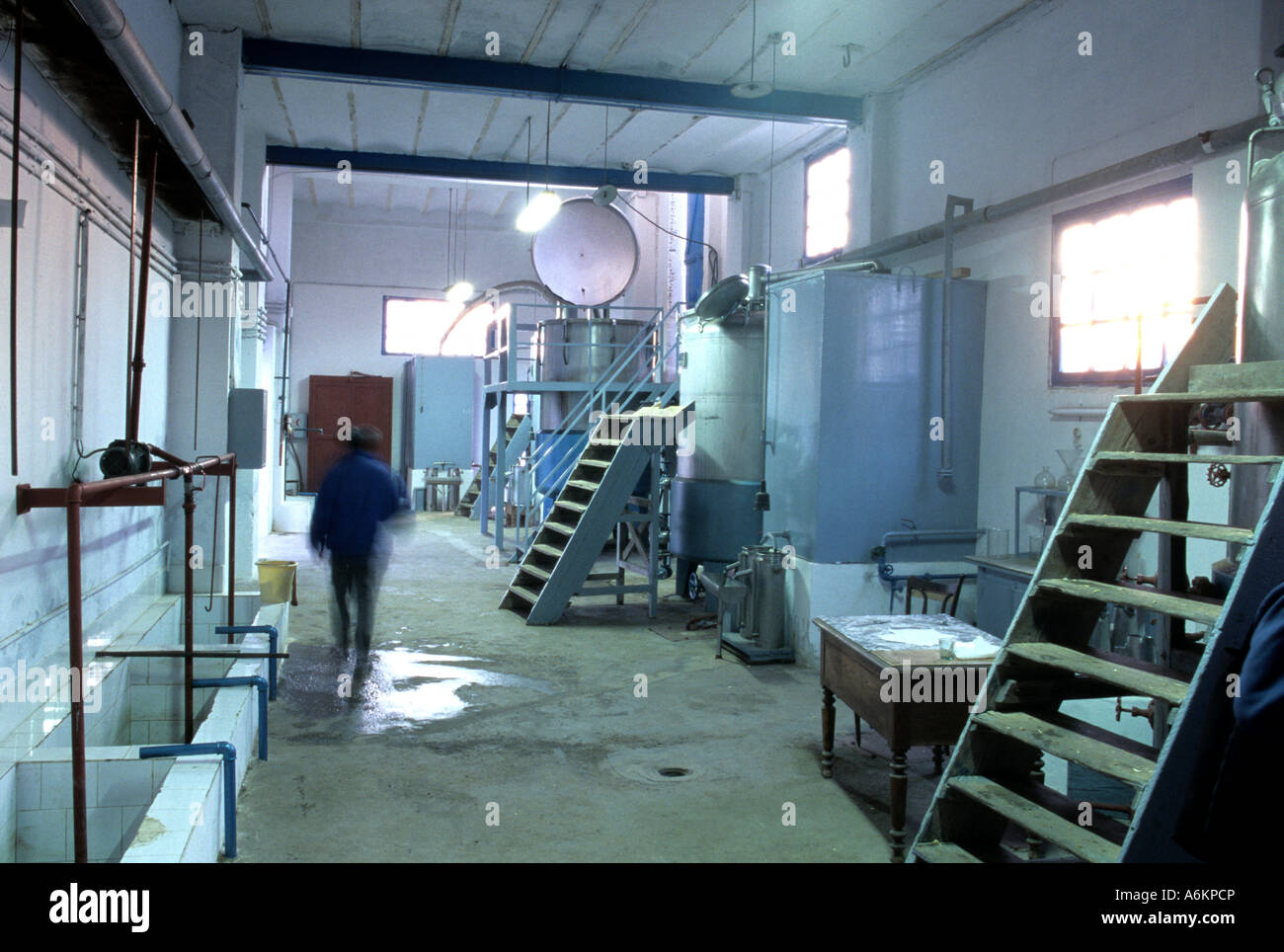 Factory workers pouring petals into the distillers at perfume factory ...