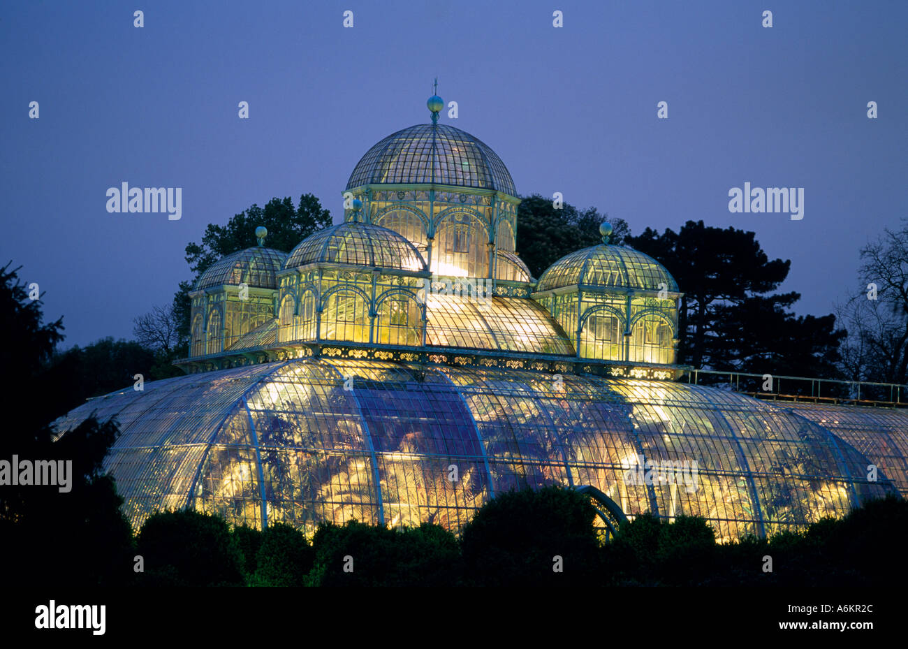 Arborium hi-res stock photography and images - Alamy