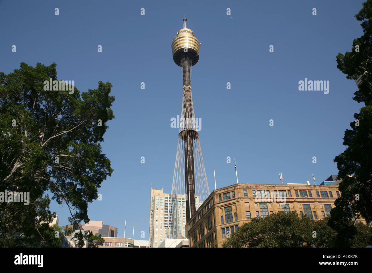 AMP Centrepoint Tower, Sydney, Australia Stock Photo - Alamy