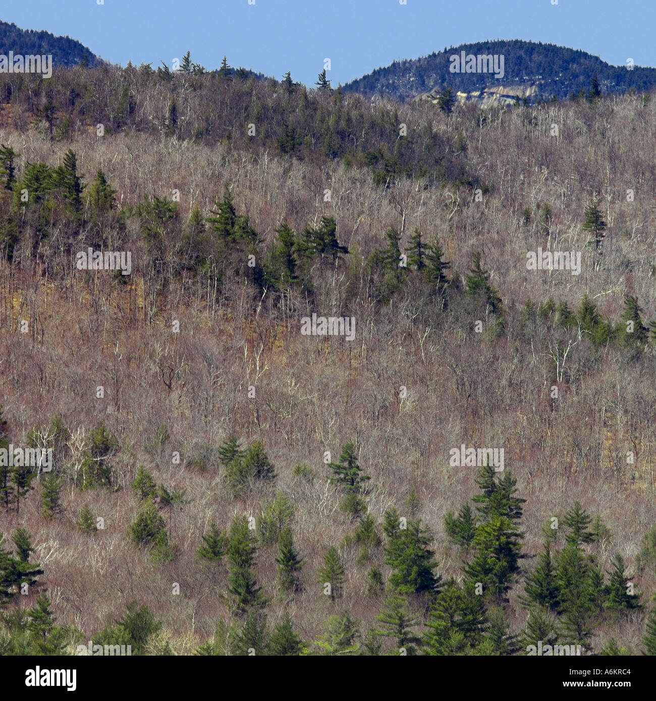 Hillside Patterns Mt Chocorua Early Spring Chocorua NH USA Stock Photo ...