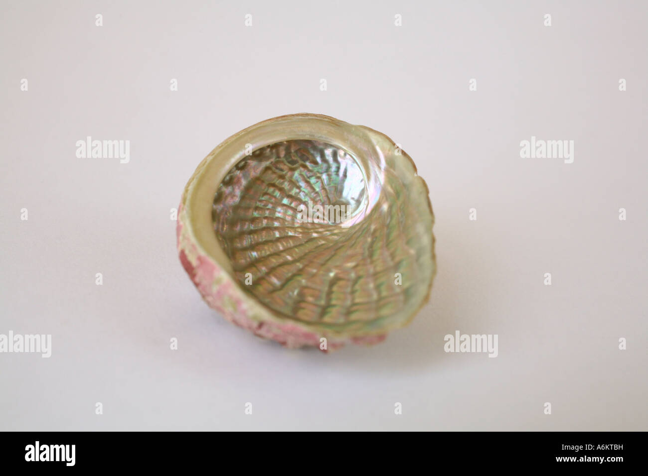 Abalone diver hi-res stock photography and images - Alamy