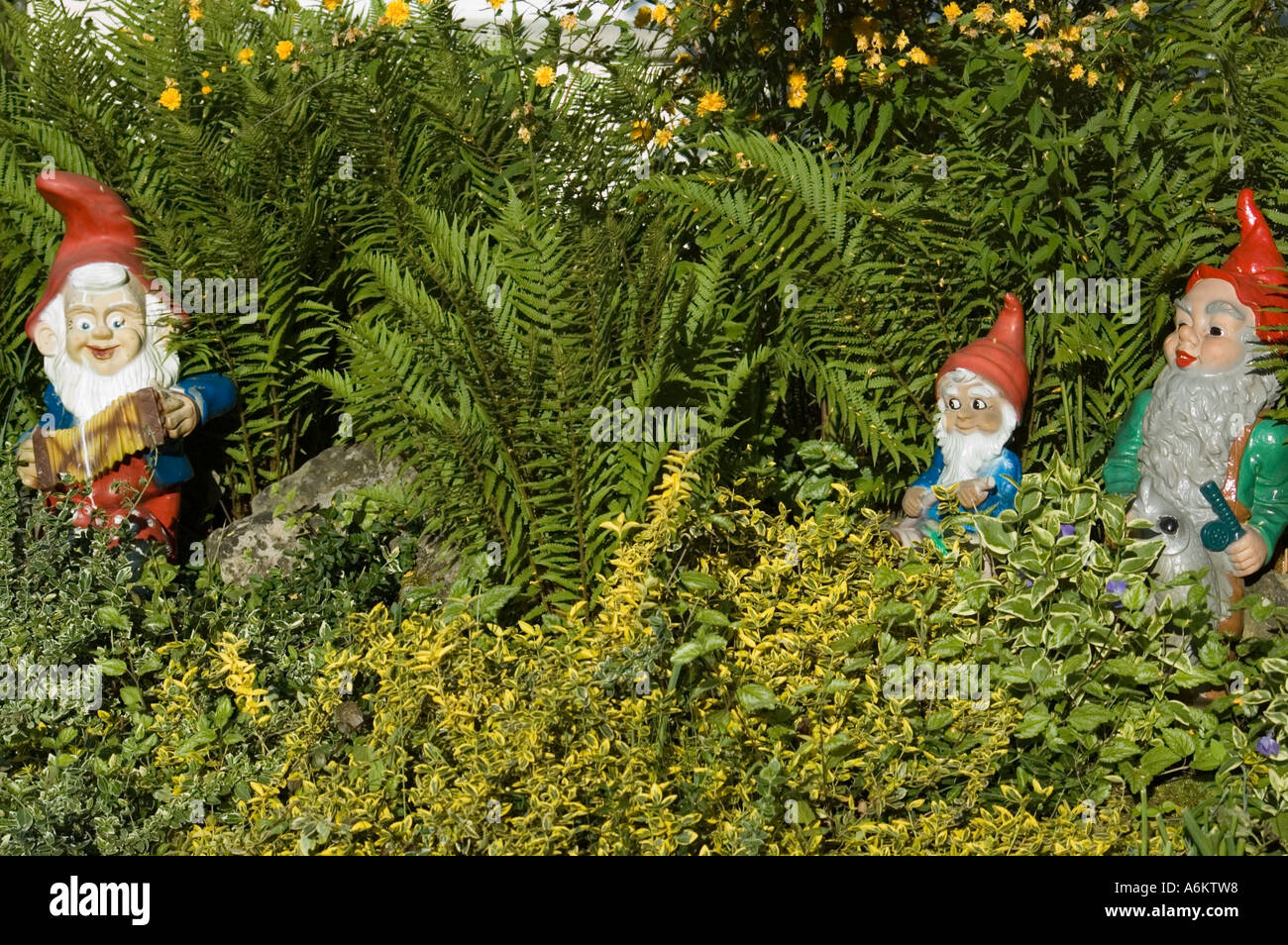 three gnomes in garden grass Stock Photo - Alamy