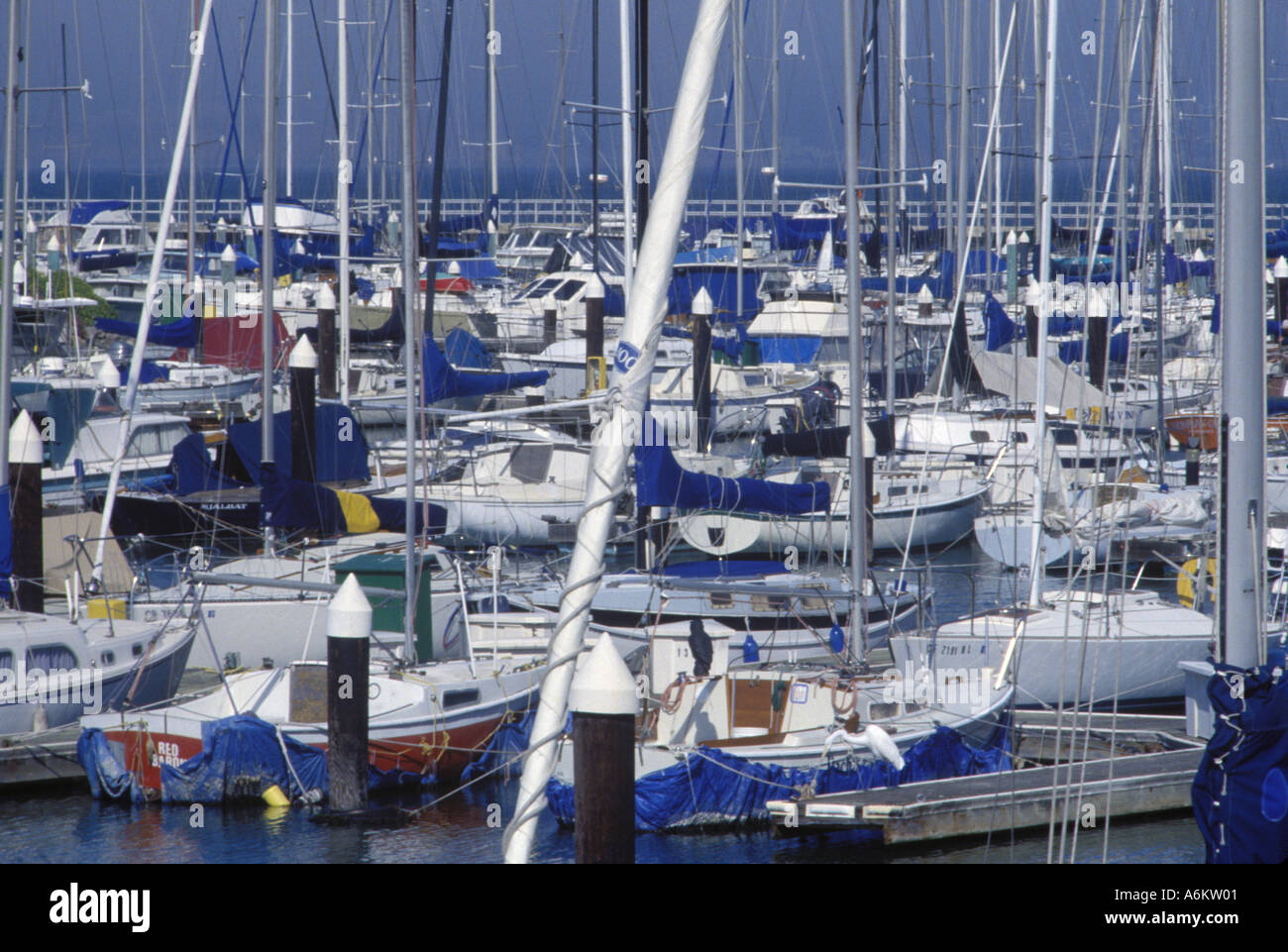 A crowded marina in San Francisco California Stock Photo - Alamy