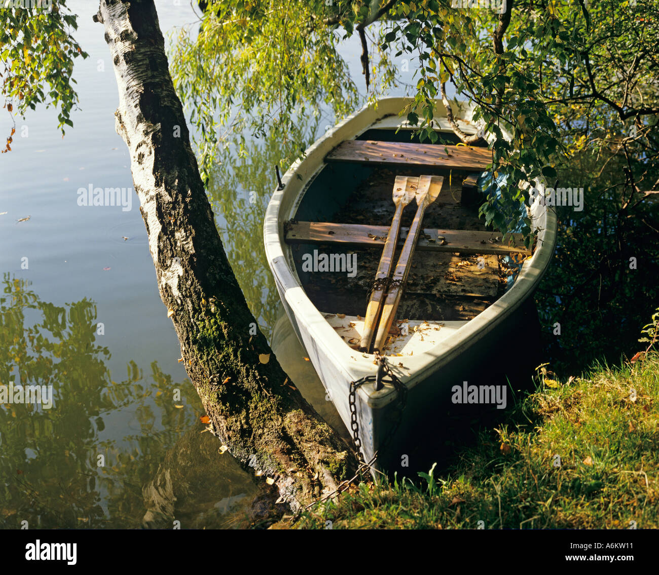 Raw baot with two rudders in lake Langbuergnersee Upper bavaria Germany ...