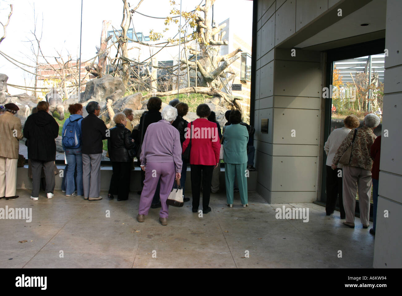 Ape house zoo hi-res stock photography and images - Alamy