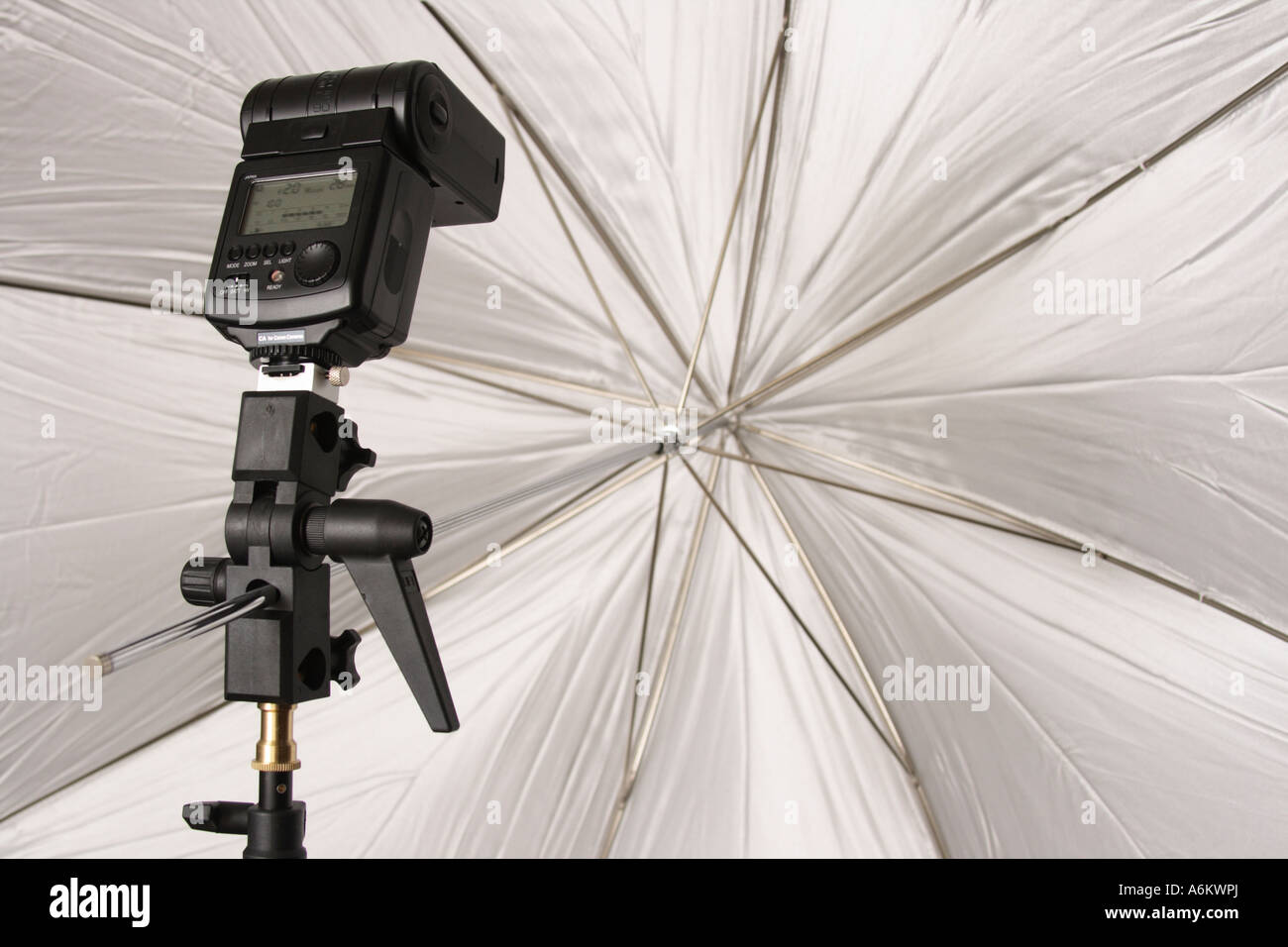 camera flash pointed at reflector umbrella Stock Photo - Alamy