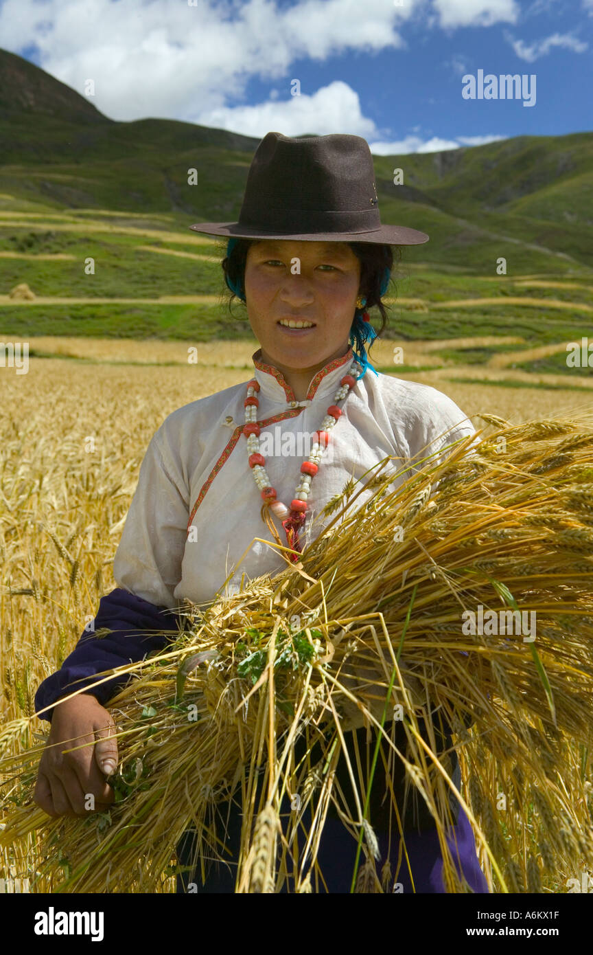 Tibet plateau farmer hi-res stock photography and images - Alamy
