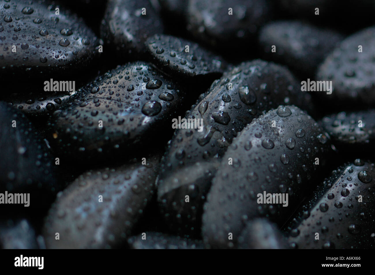 Rocks and stones at the beach Stock Photo - Alamy