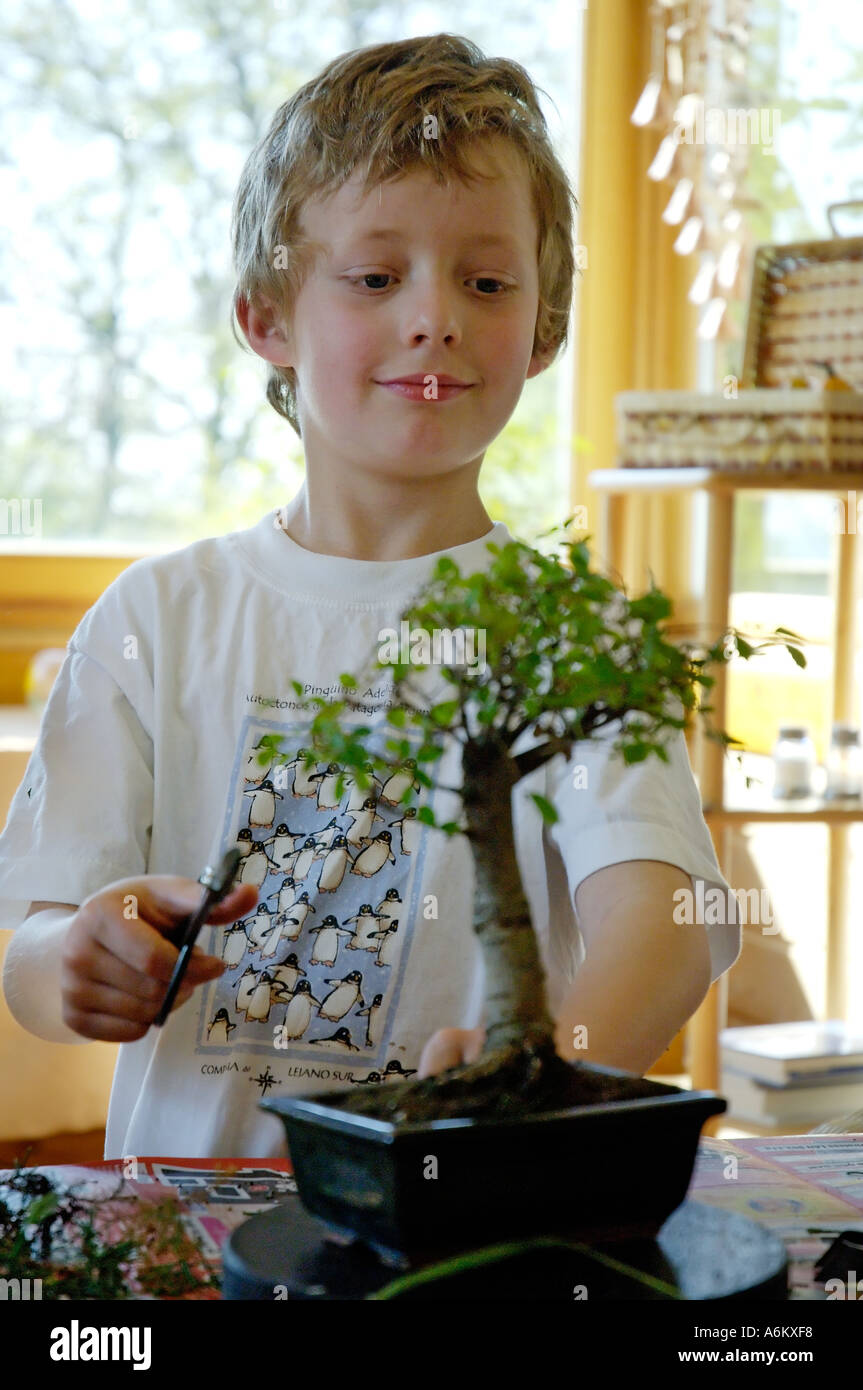 boy cutting cut tree chinese Stock Photo - Alamy
