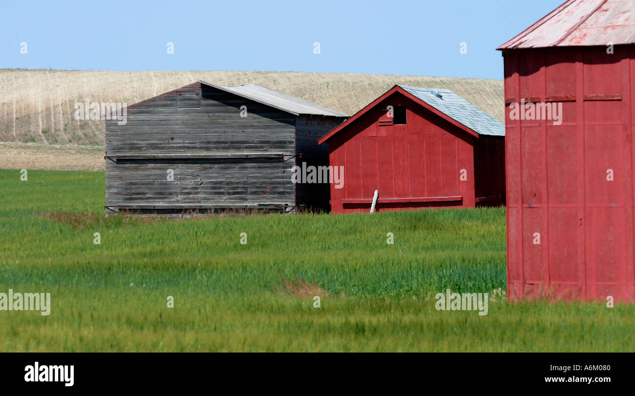 Saskatchewan prairie grass in autumn hi-res stock photography and ...