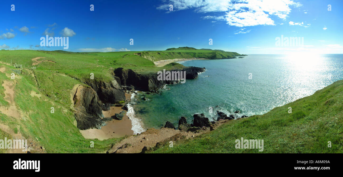 Gwylan fawr hi-res stock photography and images - Alamy