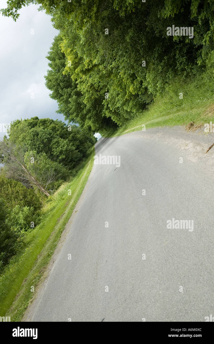 road between trees Stock Photo - Alamy