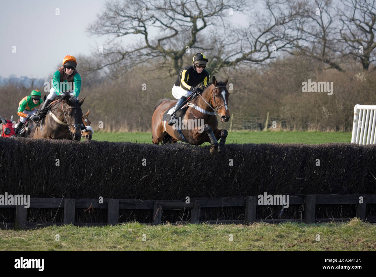 Alpraham Cheshire Hunt point to point horse race Stock Photo - Alamy