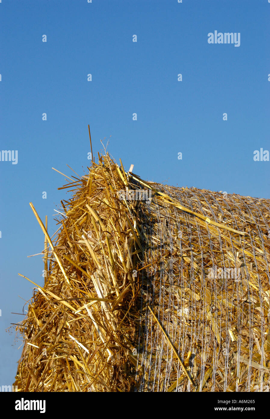 Detail of a Hay Bale Stock Photo - Alamy