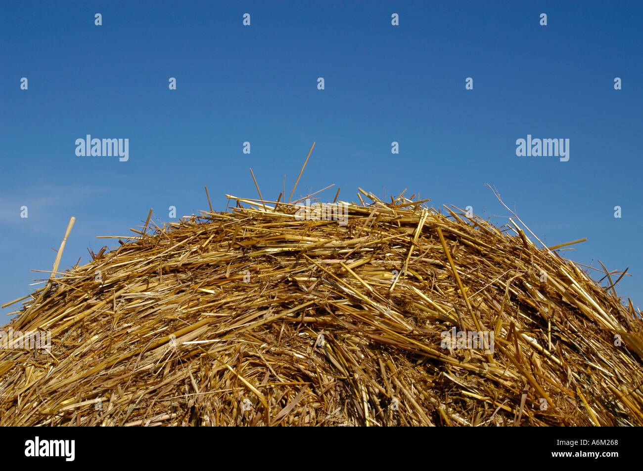 Detail of a Hay Bale Stock Photo - Alamy