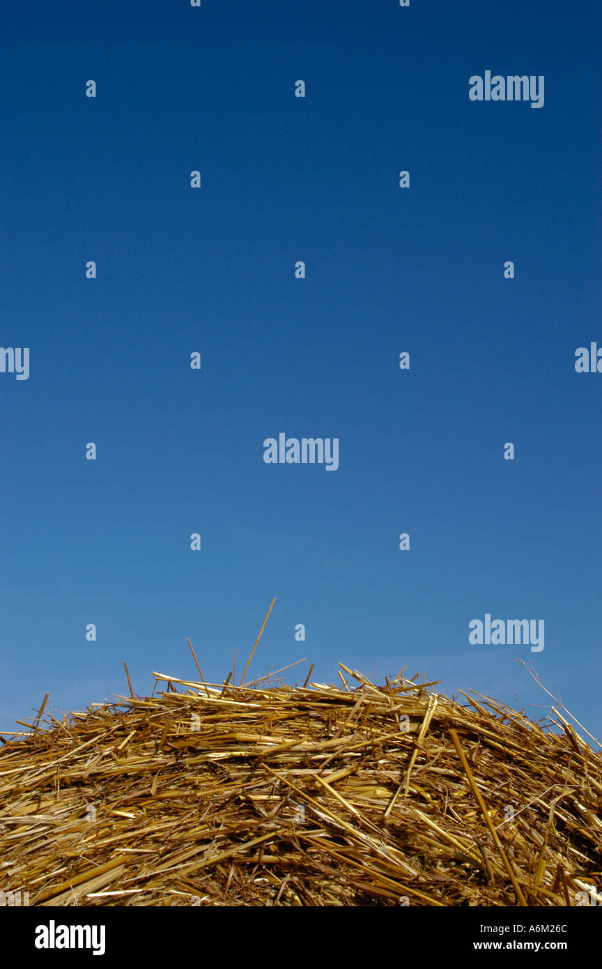 Detail of a Hay Bale Stock Photo - Alamy