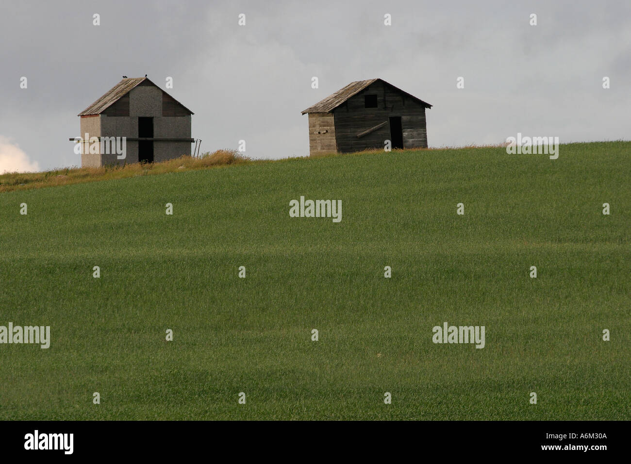 Two lone buildings on prairie in scenic Saskatchewan in Western Canada ...