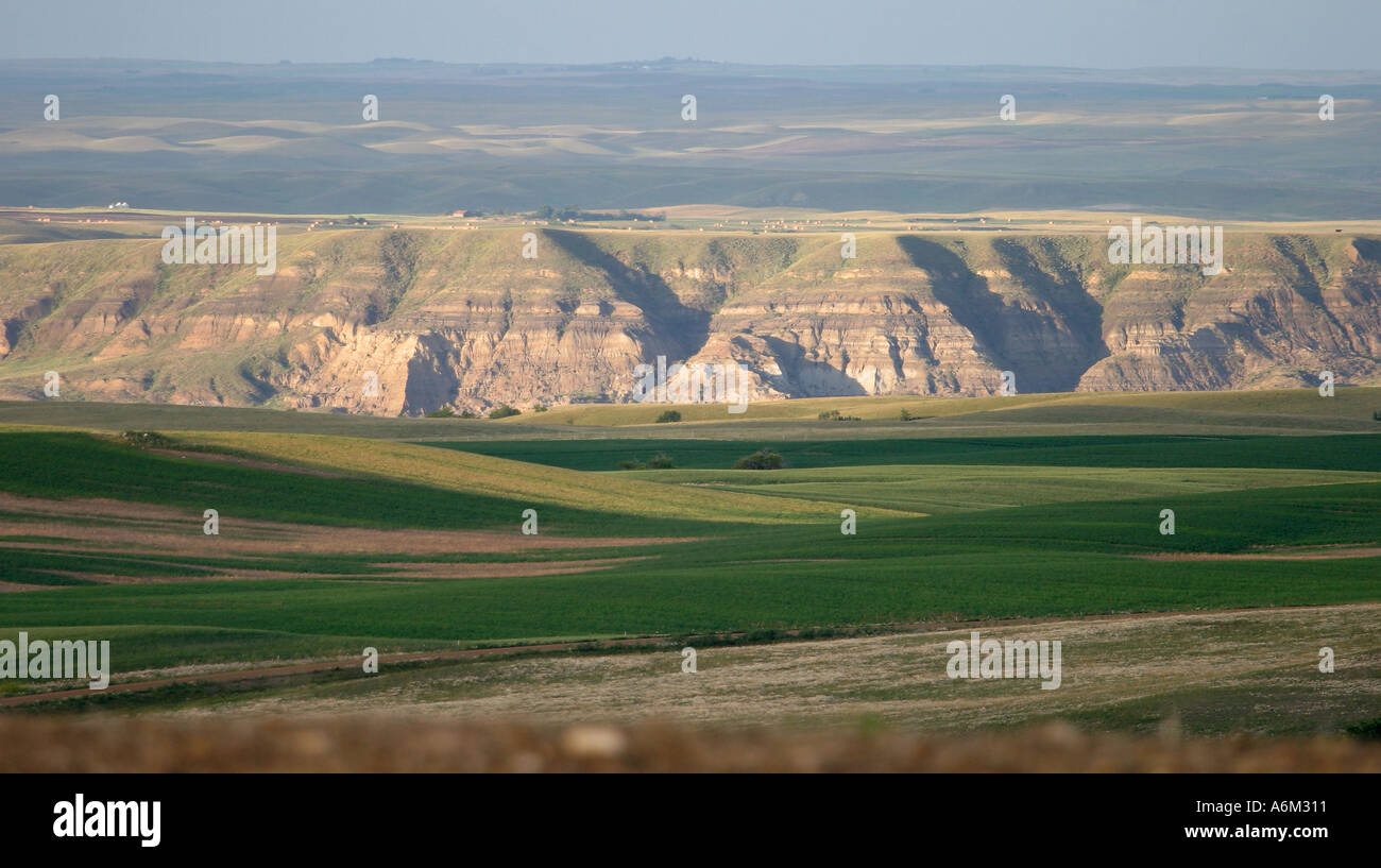 Scenic Horizon in Saskatchewan in Western Canada Stock Photo - Alamy