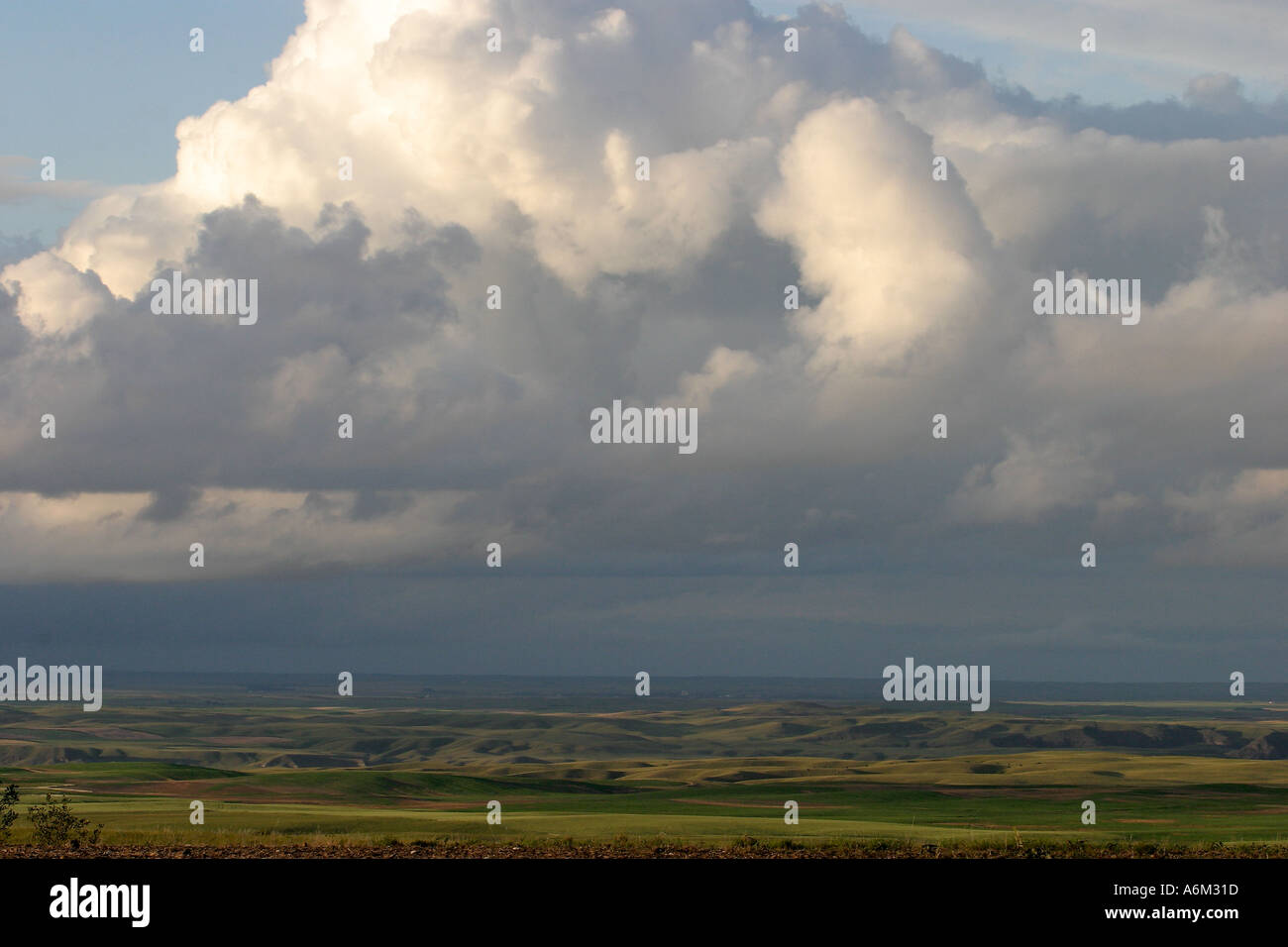 Scenic Horizon in Saskatchewan in Western Canada Stock Photo - Alamy