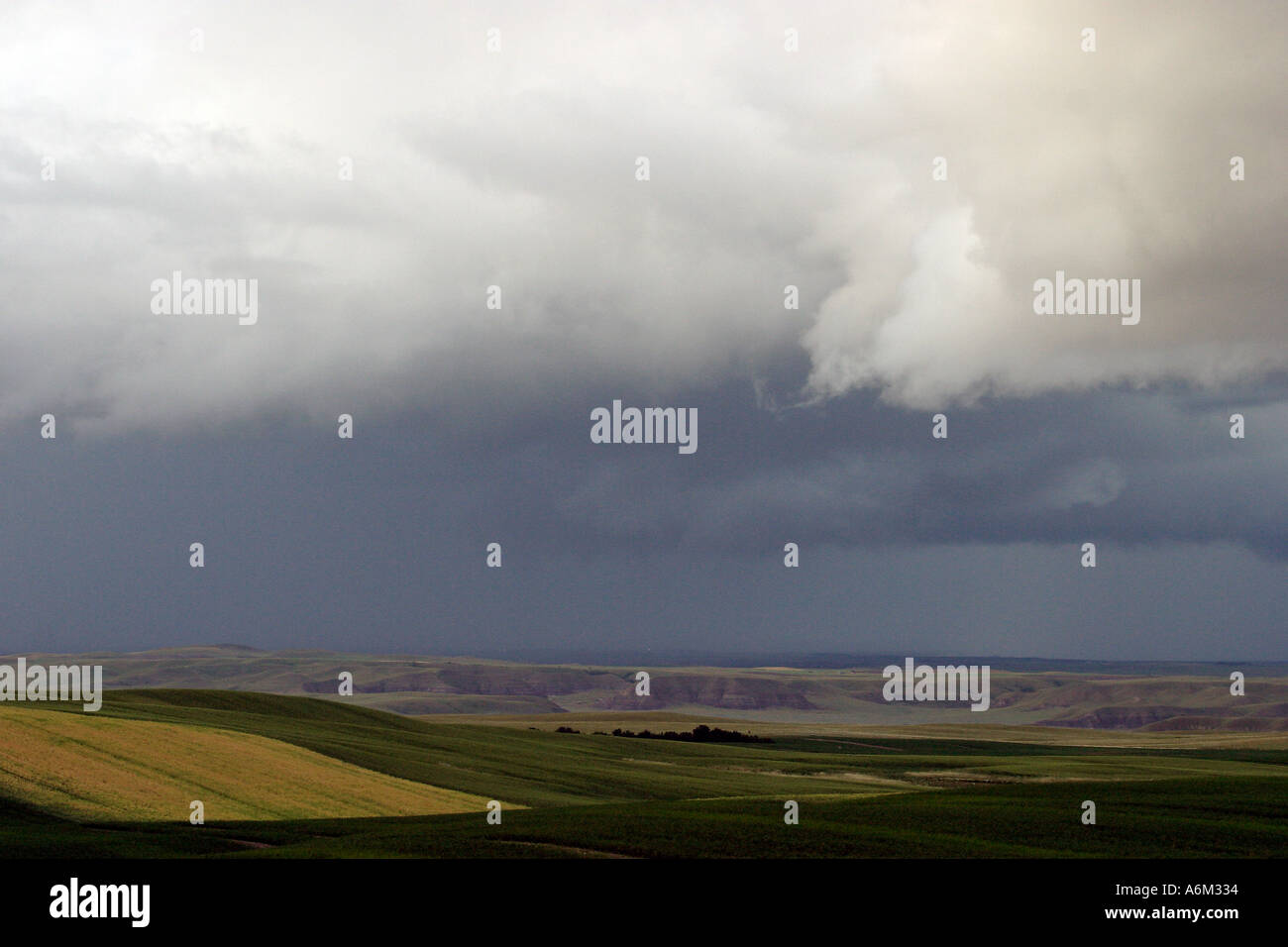 Scenic Horizon in Saskatchewan in Western Canada Stock Photo - Alamy