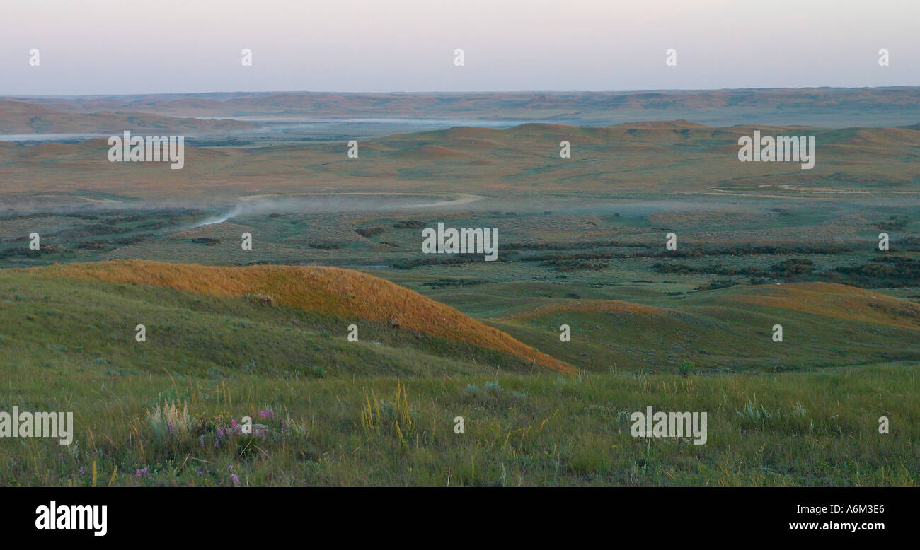 South saskatchewan river valley hi-res stock photography and images - Alamy