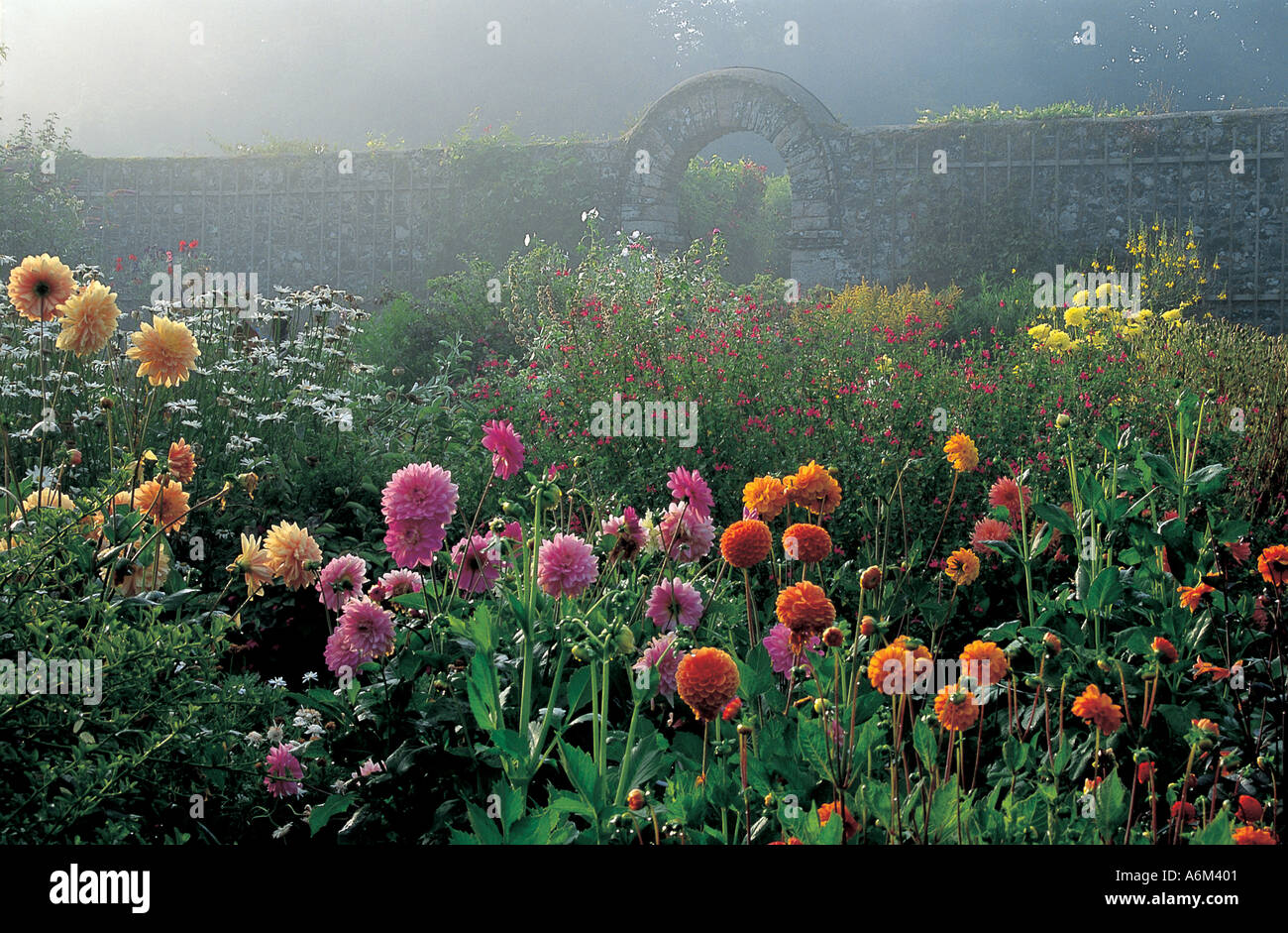 Guernsey and flowers hi-res stock photography and images - Alamy