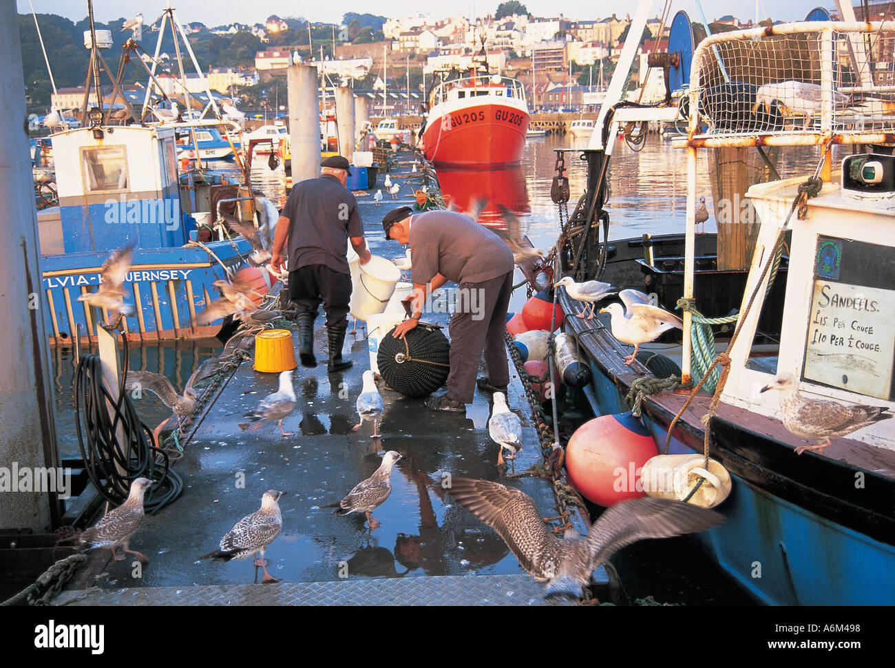 Fishermen sorting their catch after a days fishing Stock Photo - Alamy