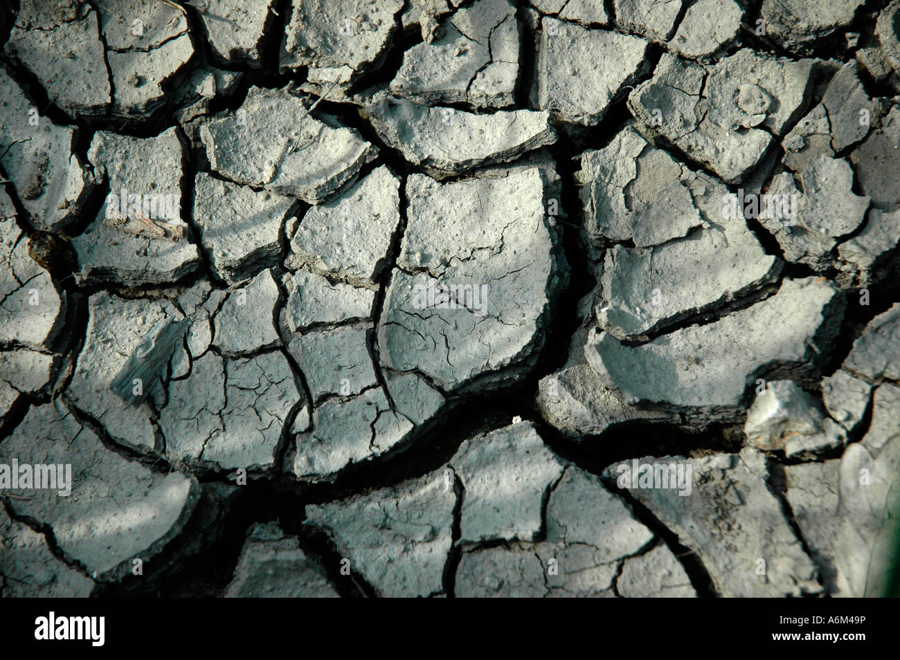 New crop dried earth mud drought in field in england hi-res stock ...
