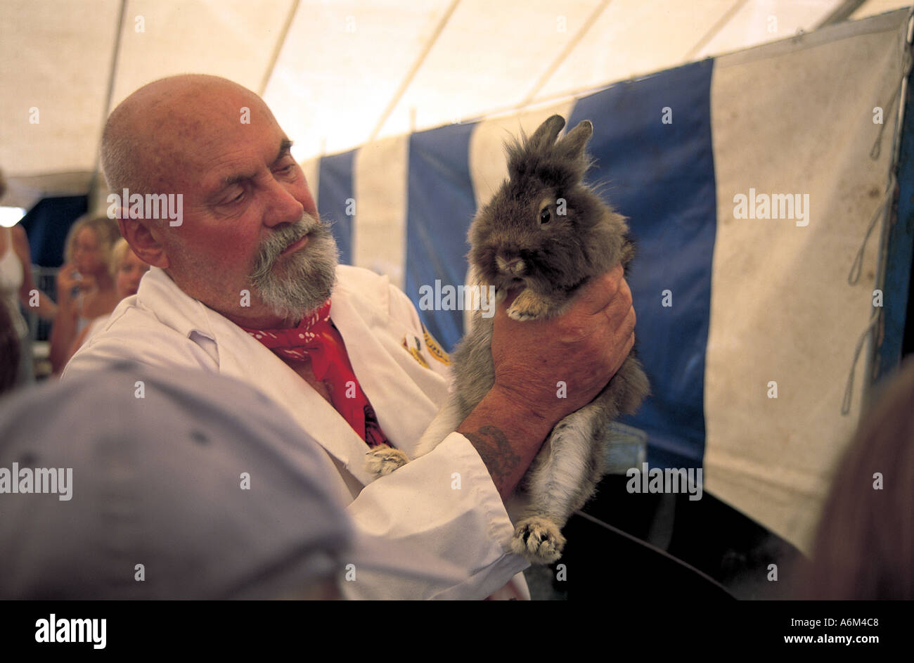 Chris rabbit hi-res stock photography and images - Alamy