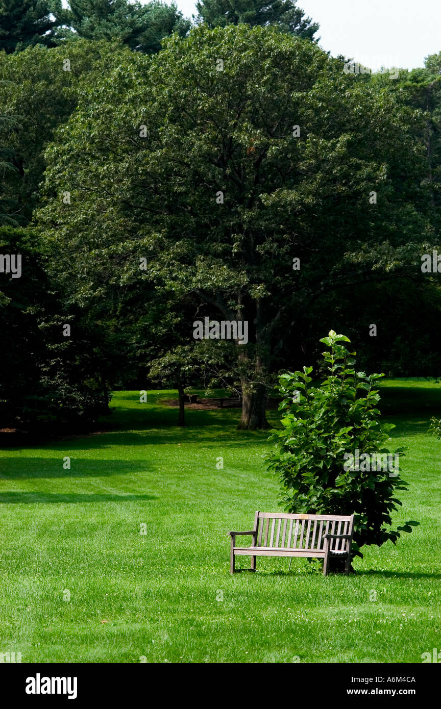 chair and tree Stock Photo - Alamy