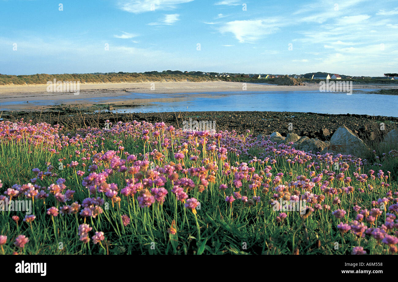 Soif hi-res stock photography and images - Alamy