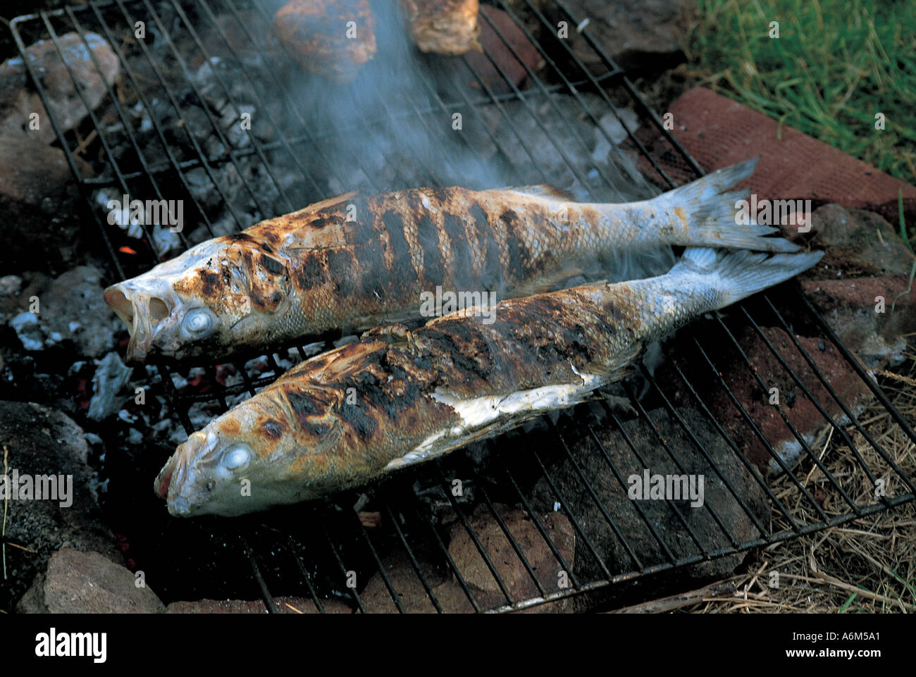 Fish being cooked on a Barbeque Stock Photo - Alamy