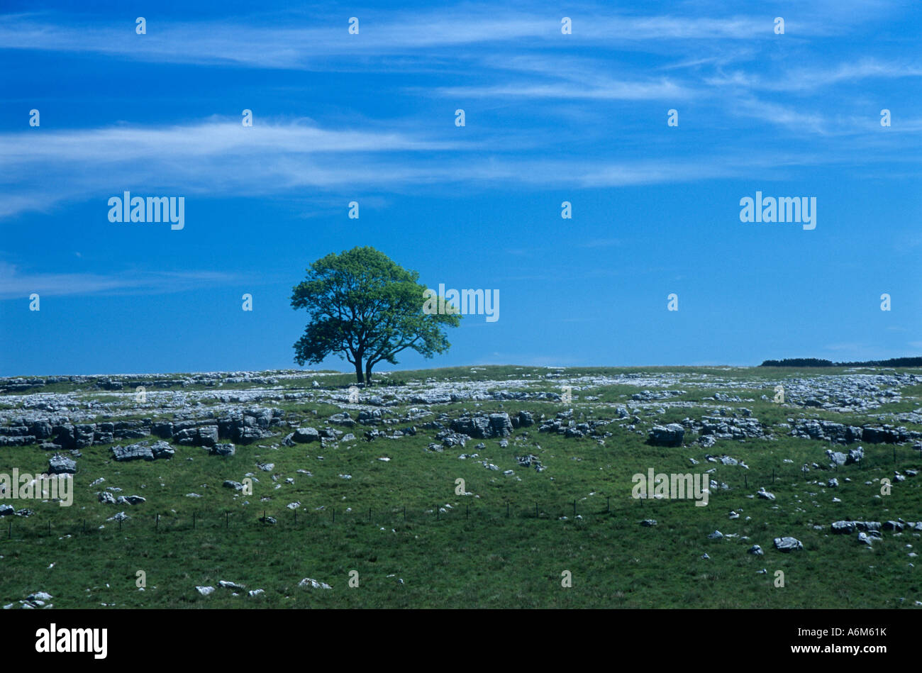 Malham Moor Limestone Pavement High Resolution Stock Photography and ...