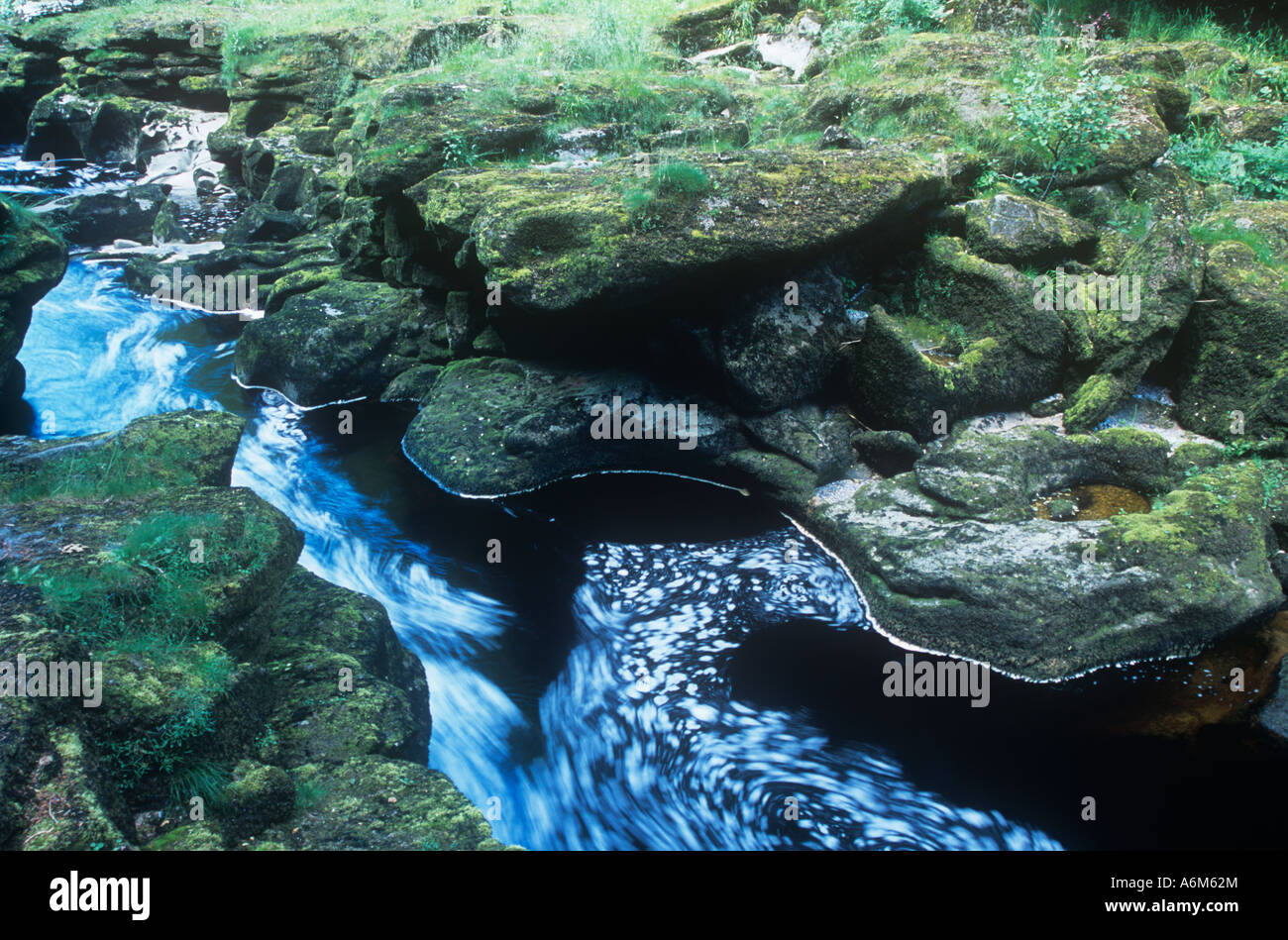 Strid woods Yorkshire Dales National Park UK Stock Photo - Alamy