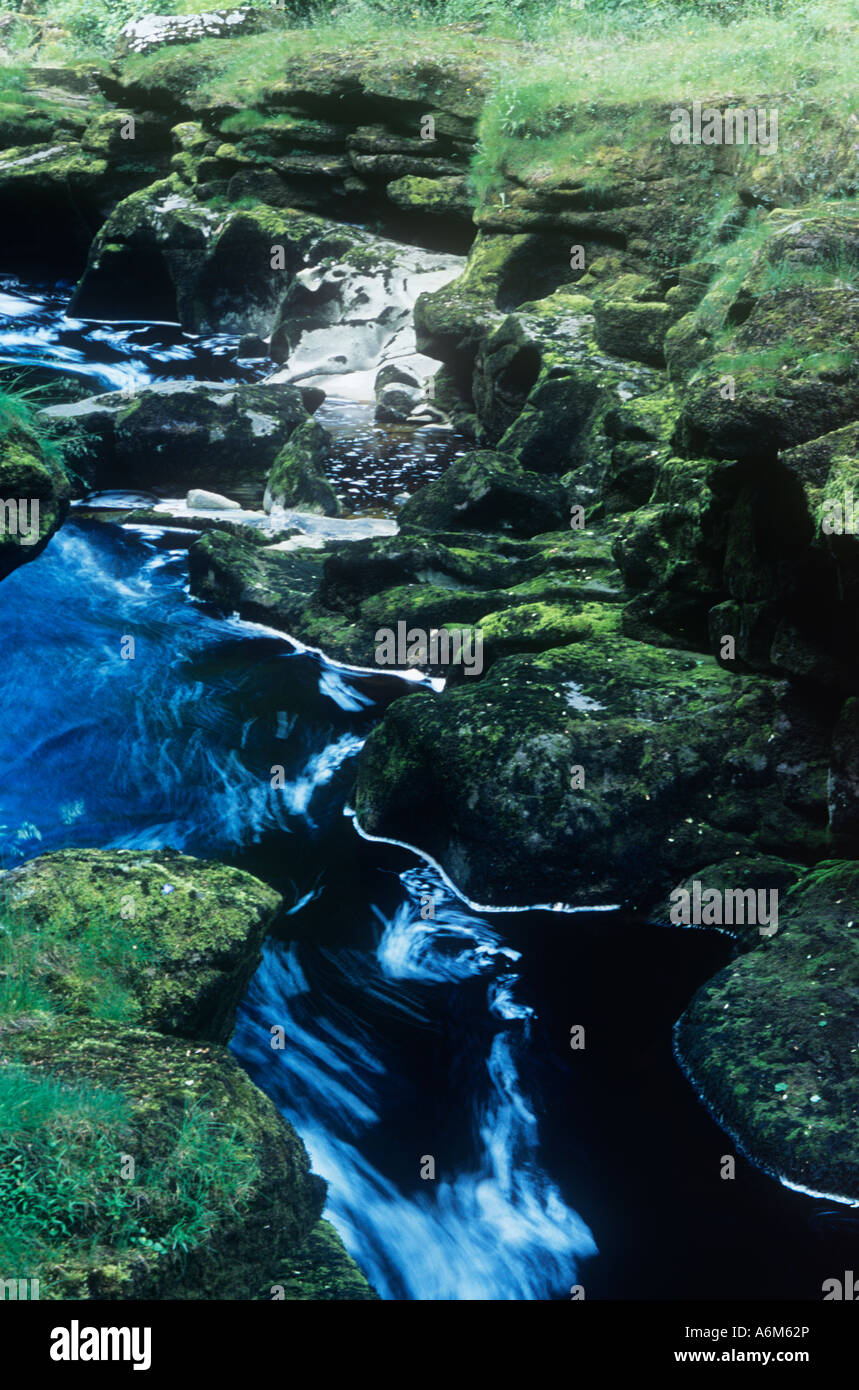 Strid woods Yorkshire Dales National Park UK Stock Photo - Alamy