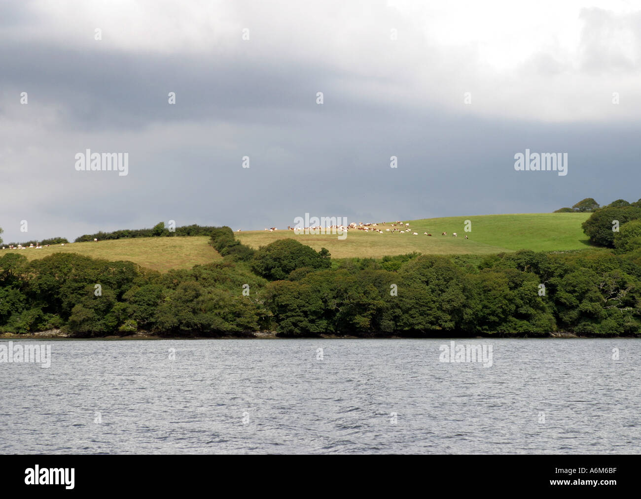 River fal cornwall hi-res stock photography and images - Alamy