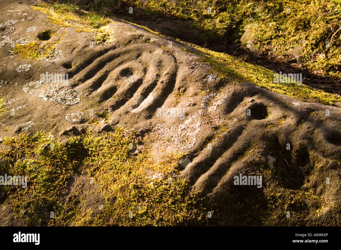 Detail of carved rock at Roughting Linn, Northumberland Stock Photo - Alamy